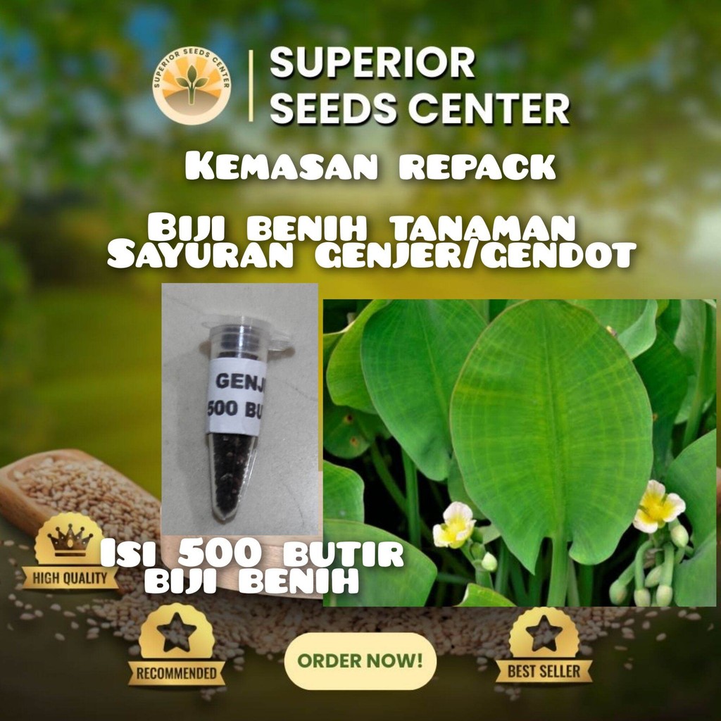 Jual 500 butir biji benih tanaman sayuran genjer/gendot (kemasan repack ...