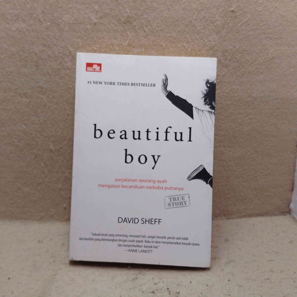 Jual Buku Beautiful Boy Perjalanan Seorang Ayah Mengatasi Kecanduan Narkoba Putranya - David ...