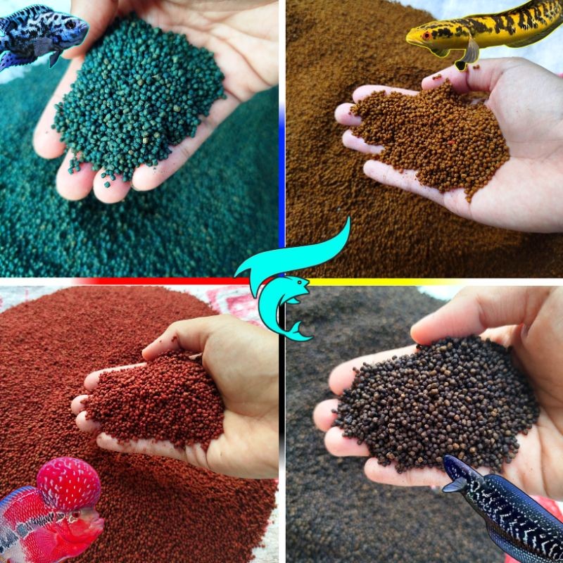 Jual Pelet racikan carophyll & Astaxanthin isi 100gram untuk louhan ...