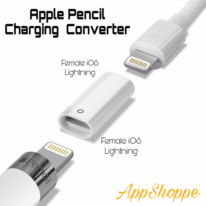 Jual Apple Pencil Connector Charging Convertor Lightning 2 Female Ports ...