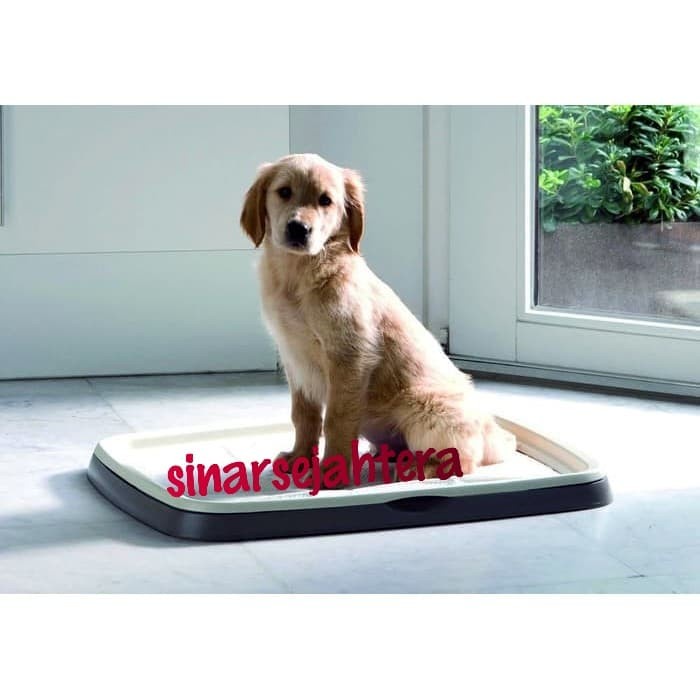 Jual Toilet Anjing / Puppy Trainer Premium / Training Large 60 cm x 45 ...
