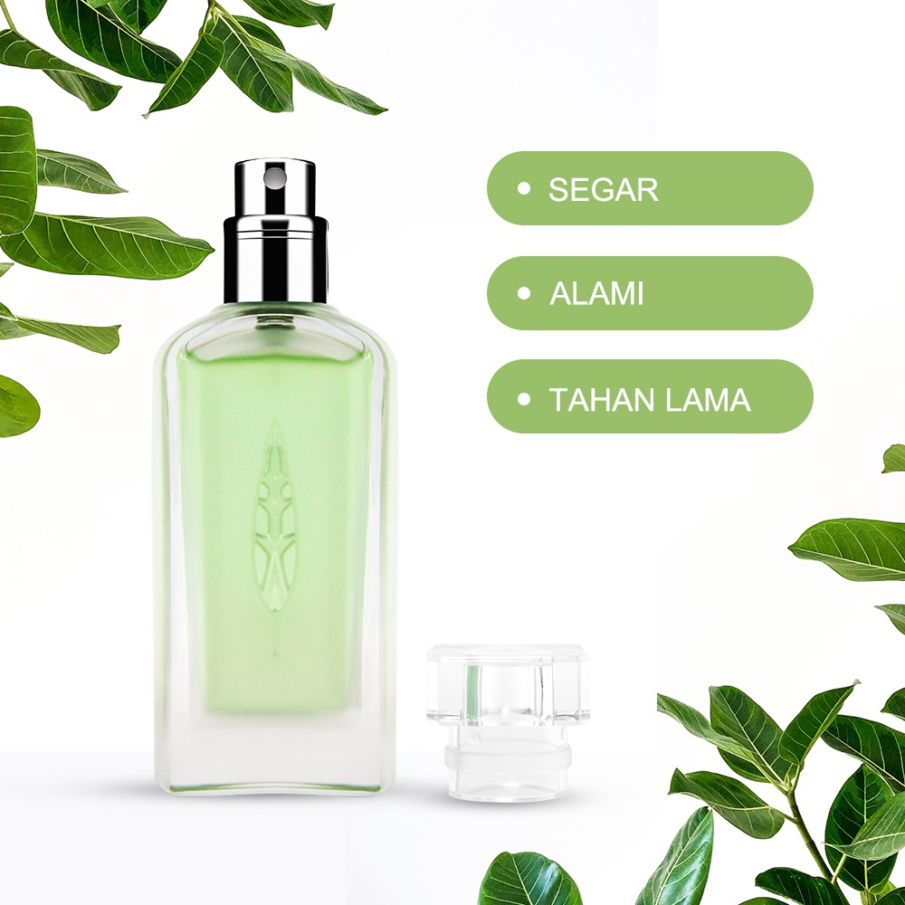 Jual Miniso Official Parfum Wanita Green Tea Perfume 30ml Enak Minyak ...