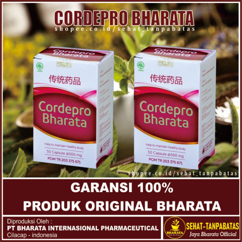 Jual CORDEPRO BHARATA ASLI ORIGINAL - Kemasan produk bharata ORIGINAL ...