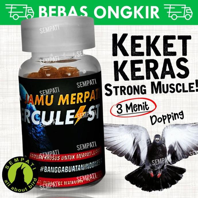 Jual PG SALE !!! JAMU HERCULES HERCULEST OBAT PIL BURUNG MERPATI BALAP ...