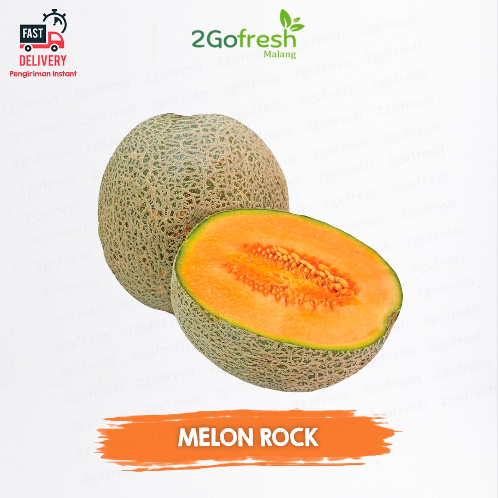 Jual Melon Rock Super Fresh - Rempah Sayur Sayuran & Buah Buahan | Shopee Indonesia