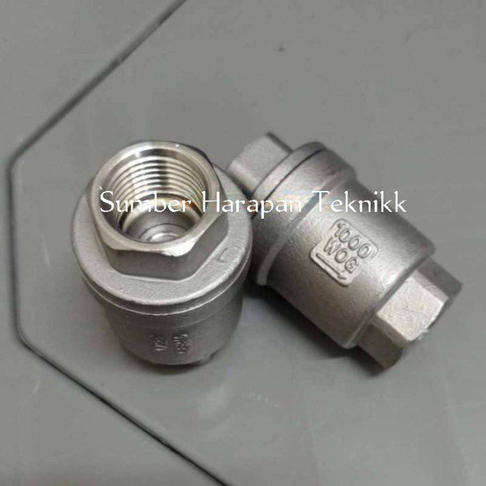 Jual New Ori Tuzen Klep Stainless Ss316 4Inch Vertical Lift Check Valve ...