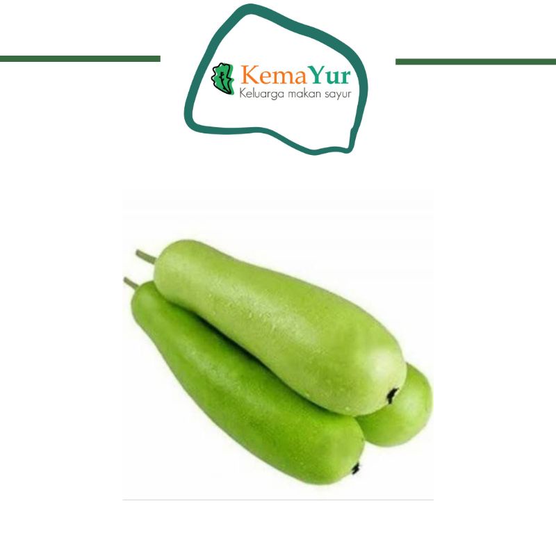 Jual LABU AIR WALO POTONGAN | Shopee Indonesia