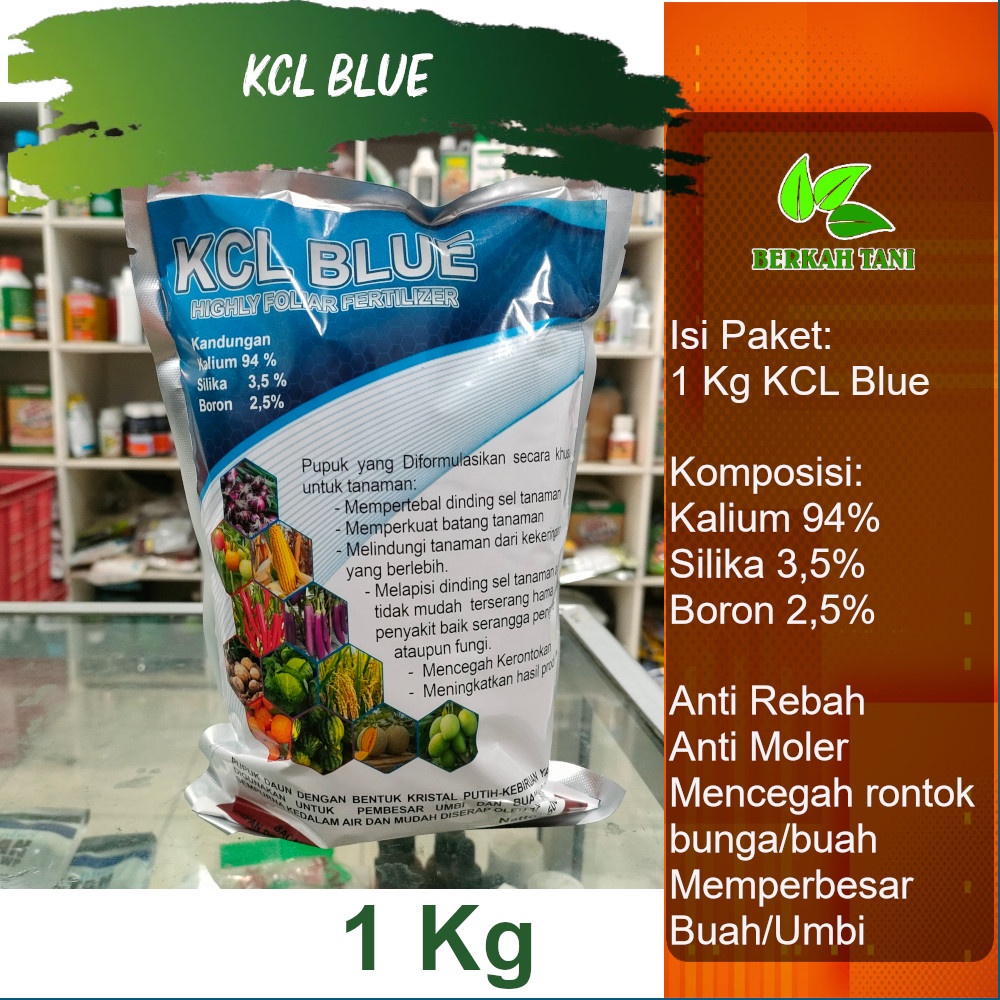 Jual KCL Blue 1 Kg Plus Boron Pupuk Anti Rebah dan Moler | Shopee Indonesia