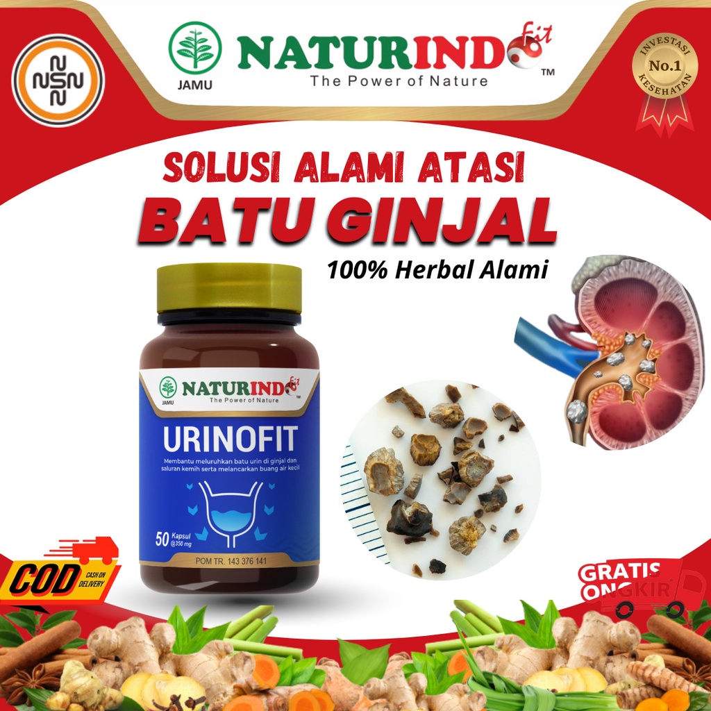 Jual Obat Batu Ginjal Herbal Penghancur Kencing Batu Ginjal Paling Ampuh Urinofit Naturindo ...