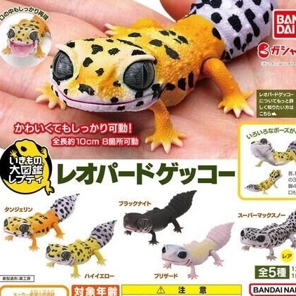 Jual Bandai set 4 (no rare) ikimono mini repti leopard gecko gacha ...
