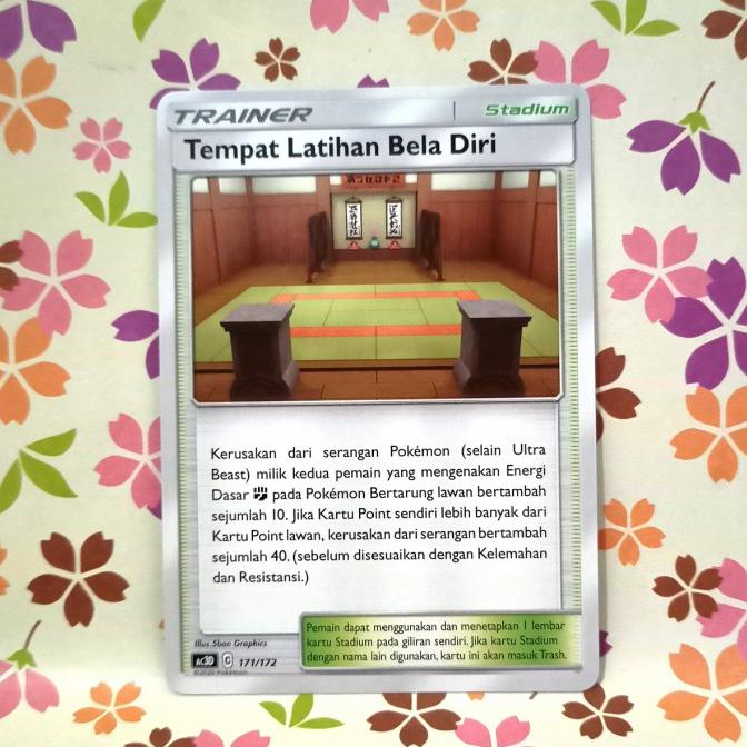 Jual tempat latihan bela diri ac3d 171/172 pokemon tcg indonesia | Shopee Indonesia