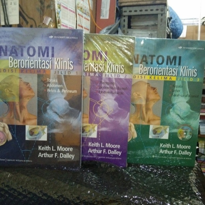 Jual Ori-1 Set Anatomi Berorientasi Klinis Keith L Moore Edisi 5 Jilid1 ...