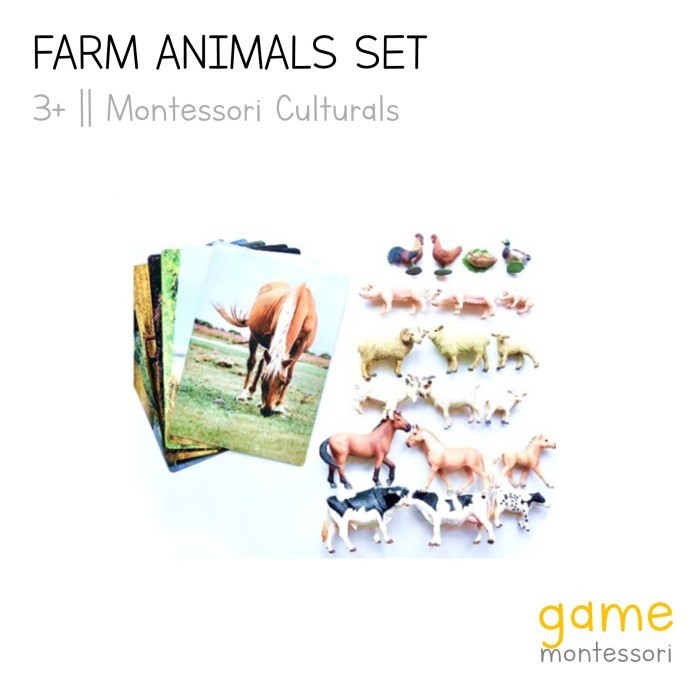 Jual Montessori Cultural Animals Wild Or Farm Set | Shopee Indonesia