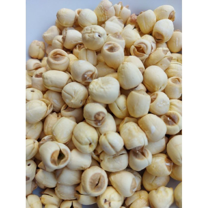 Jual biji teratai. lotus seed premium 1kg | Shopee Indonesia