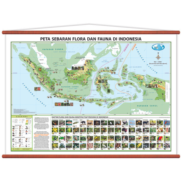 Jual Peta Sebaran Flora Dan Fauna Di Indonesia | Shopee Indonesia