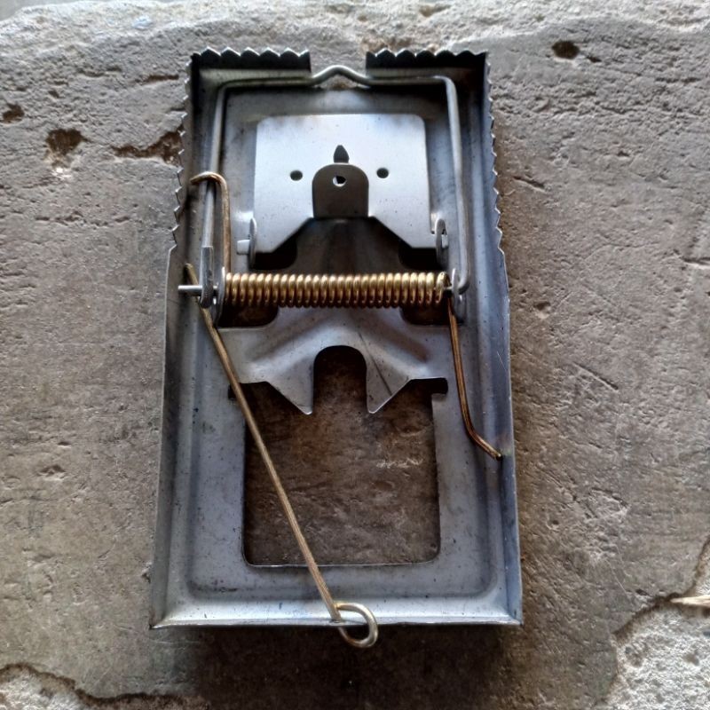 Jual PERANGKAP JEBAKAN RINGKAP TIKUS | Shopee Indonesia