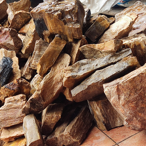 Jual batu fosil kayu batu aquascape 1 KG | Shopee Indonesia