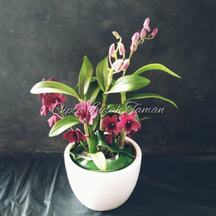 Jual Pot Bunga Keramik Vas Bunga Minimalis Ukuran 20" Untuk Meja ...