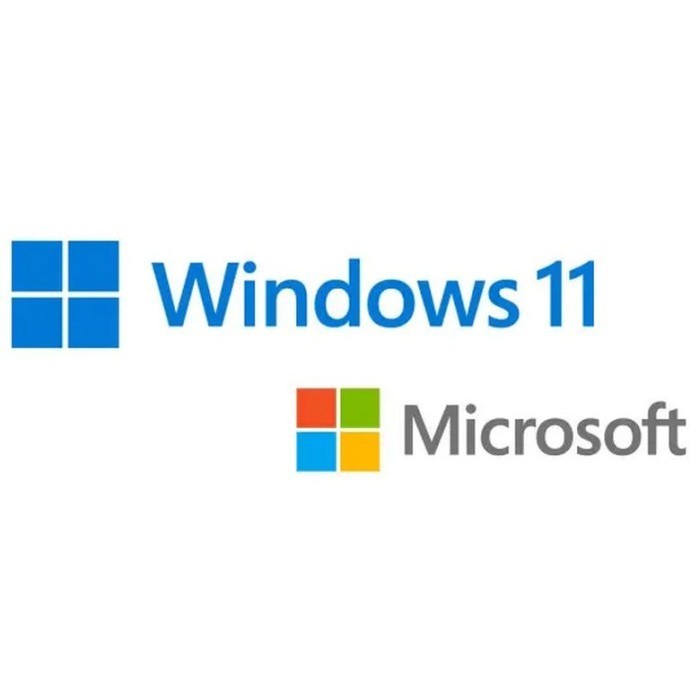 Jual Microsoft Windows 11 Professional Oem [Os] | Shopee Indonesia
