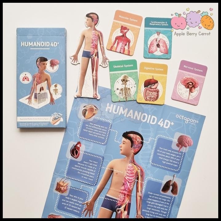 Jual TERMURAH OCTAGON 4D+ AUGMENTED REALITY FLASHCARD HUMANOID 4D ...