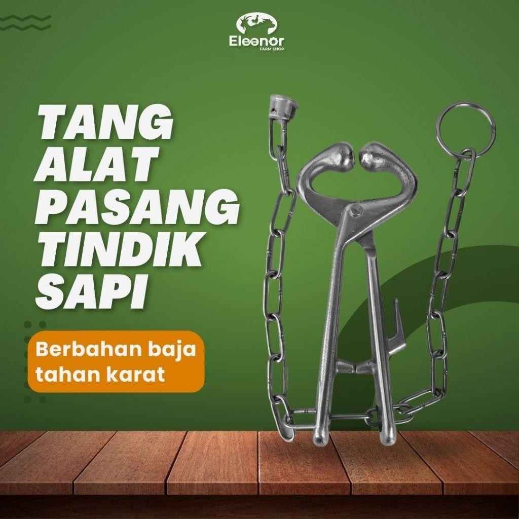 Jual Nose Ring Pliers Alat Tang Tindik Hidung Sapi Kerbau Kuda Carbon ...