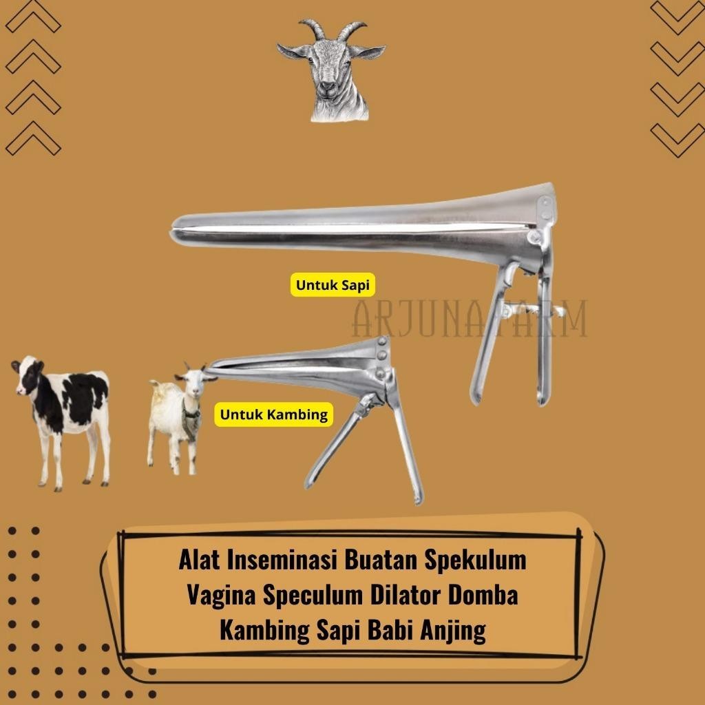 Jual Spekulum Dilator Vagina Alat Inseminasi Buatan Sapi Domba Kambing Babi Hewan Ternak Farm ...