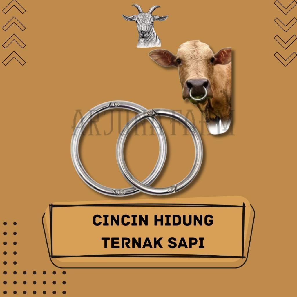 Jual Cincin Tindik Sapi Cincin Ring Hidung Sapi Kerbau Lembu Bull Ring ...