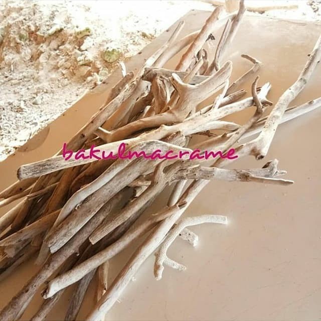 Jual Kayu Laut 15Cm | Shopee Indonesia