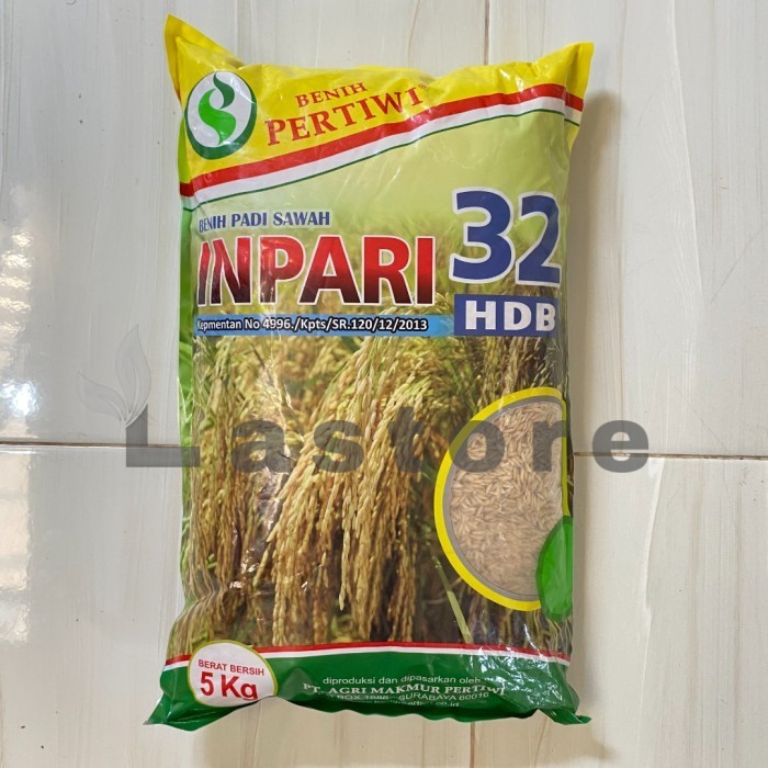 Jual Benih Padi Sawah Unggul Inpari 32 Hdb 5Kg Bersertifikat Benih Pertiwi | Shopee Indonesia