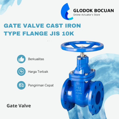 Jual 8" Gate Valve Cast Iron Type Flange JIS 10K Size 8 Inch DN 200 ...
