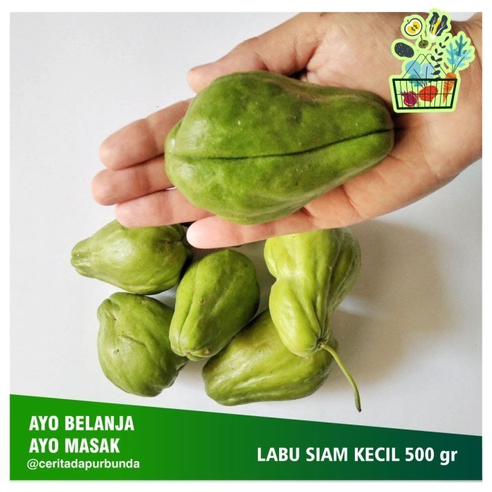 Jual LABU SIAM KECIL / LABU SIAM BABY per 500 gram | Shopee Indonesia