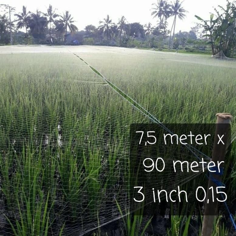 Jual Racun Shopee Jaring Burung 3" 0,15 100Md Jaring Ayam Padi Ter-98 | Shopee Indonesia