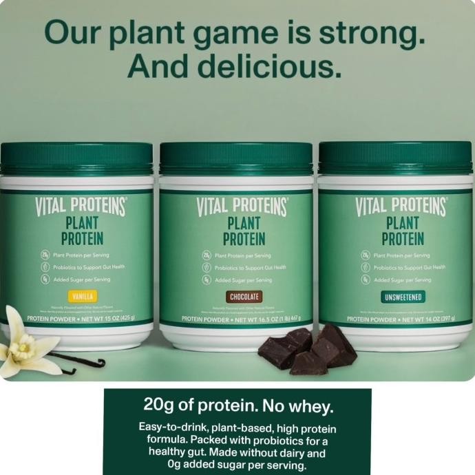 Jual Vital Proteins Vegan Protein Powder 20g Plant Based Chickpea ...