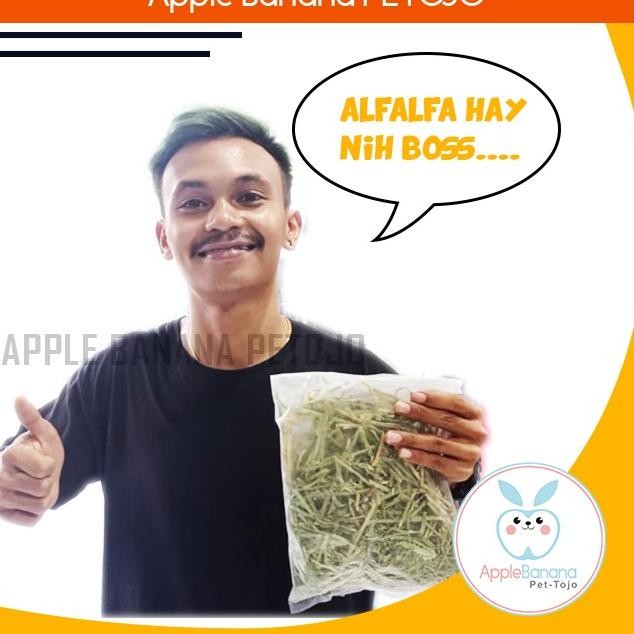 Jual HAY ALFALFA Repa 1 KG by SPECIAL HAY - Rumput Hay Kelinci Alfalfa | Shopee Indonesia
