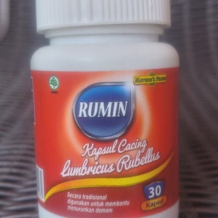 Jual Terlaris!! Rumin Kapsul Cacing Lumbricus Rubellus Menurunkan Demam ...