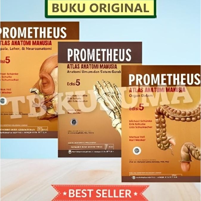 Jual Sale!! [ Original ] Prometheus Atlas Anatomi Manusia Edisi 5 - Set ...