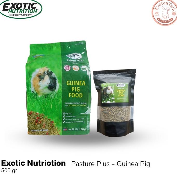 Jual Trending Makanan Pellet Marmut - Premium Exotic Nutrition Guinea ...