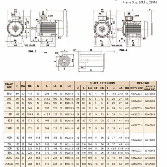 Jual Teco Motor 1 Hp 4 Pole Foot/ Dinamo Teco 1 Hp 0,75 Kw 4 Pole 3 ... Jual Teco Motor 1 Hp 4 Pole Foot/ Dinamo Teco 1 Hp 0,75 Kw 4 Pole 3 ...