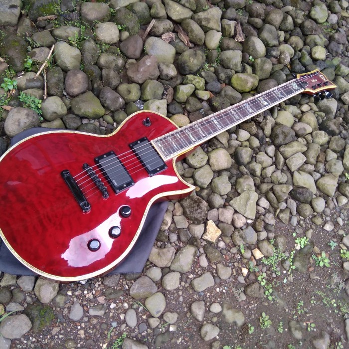 Jual Gitar ESP LTD EC-1000 See Thru Black Cherry | Shopee Indonesia