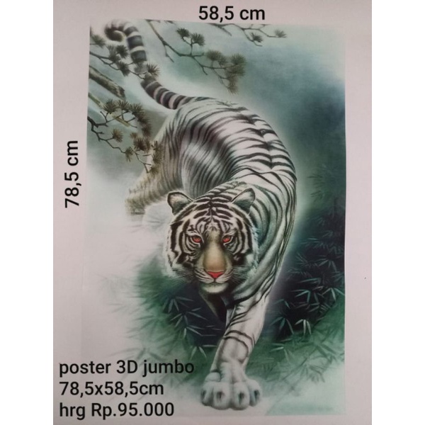 Jual Poster Harimau Putih 3 Dimensi Ukuran Jumbo (Terlihat Hidup Dan ...