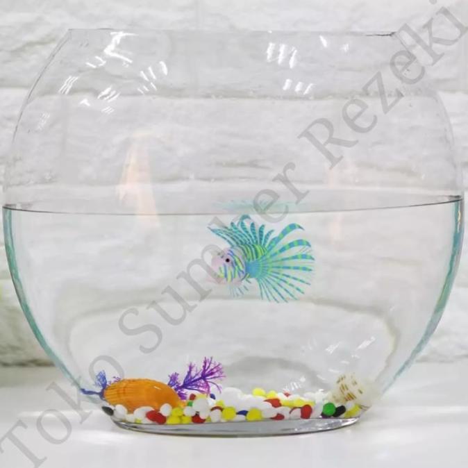 Jual Pot Bulat Kaca Aquarium Beling 25 CM Toples Bowl Fish Mangkok Ikan ...