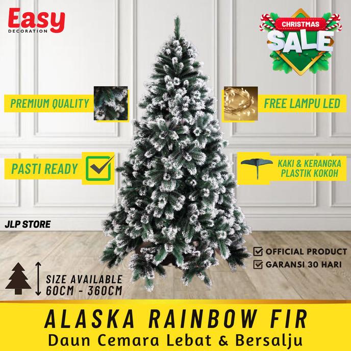 Jual $+$+$+$+] Pohon Natal Premium tipe ALASKA RAINBOW FIR TREE Ukuran ...
