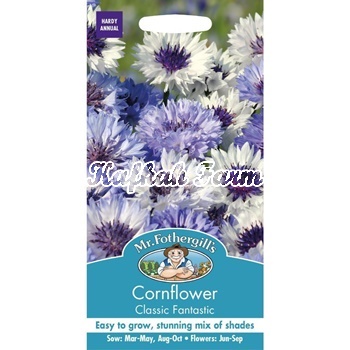 Jual Benih 3 Biji Bunga CORNFLOWER Classic Fantastic | Shopee Indonesia