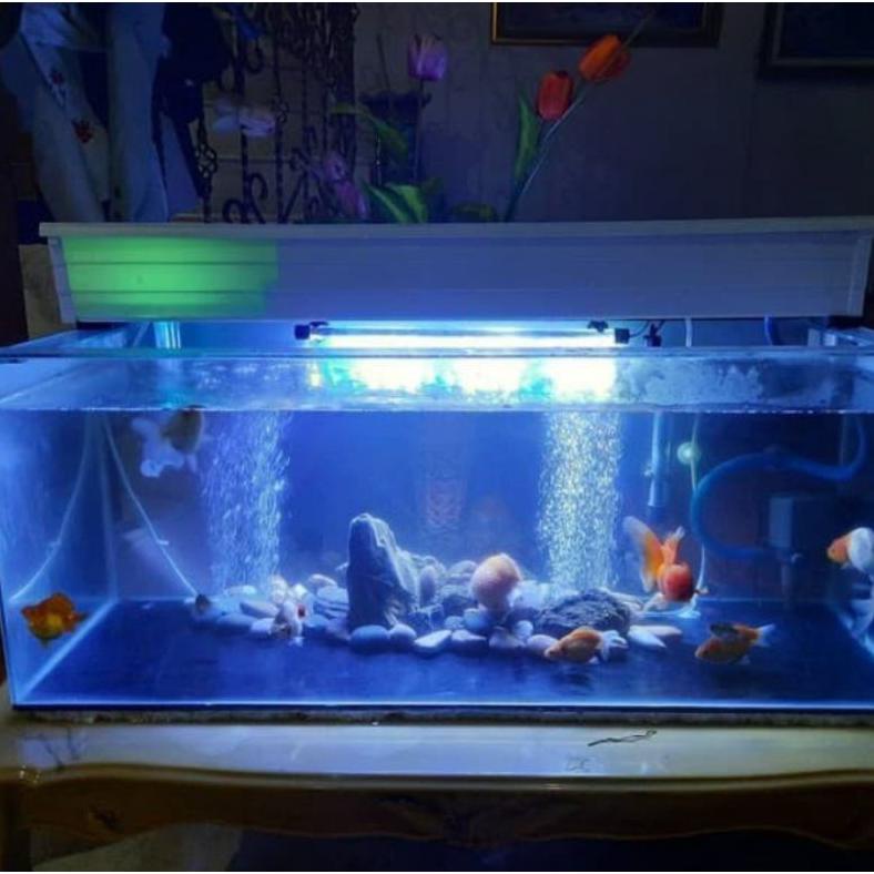 Jual Terjangkau Filter talang air aquarium ukuran 30cm sd 120cm ...