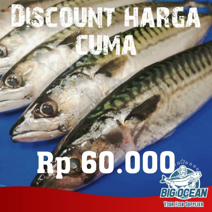 Jual Makarel fish | Saba Fish @1kg | Shopee Indonesia