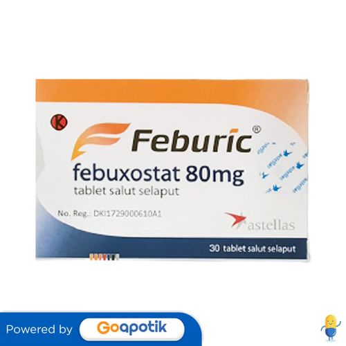 Jual FEBURIC 80 MG BOX 30 TABLET | Shopee Indonesia