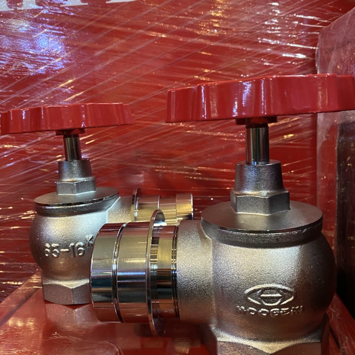 Jual Hydrant valve 2,5" 16k hooseki coupling machino/vdh | Shopee Indonesia