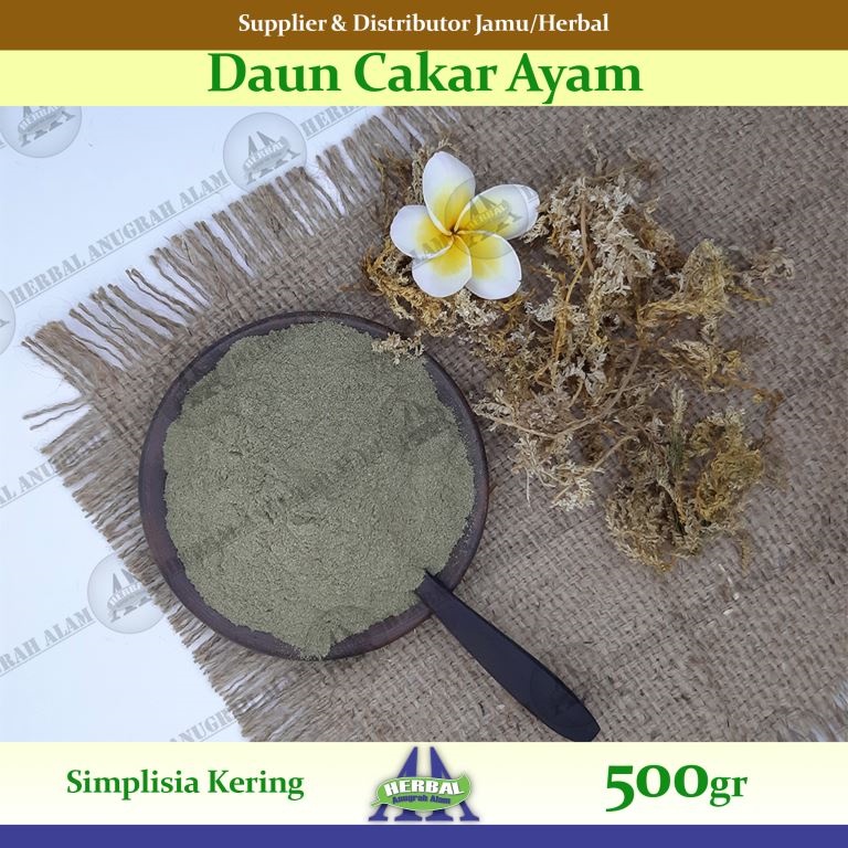 Jual Daun Cakar Ayam (Kering) 500Gr | Selaginella deoderleinii hieron ...