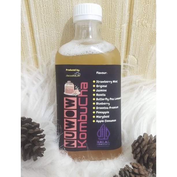 Jual Kombucha Halal 350ml Nuwow Kombucha Soursop | Shopee Indonesia