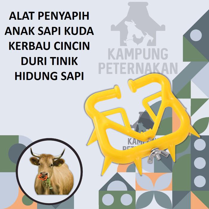 Jual Alat Penyapih Anak Sapi, Kuda, Kerbau Cincin Duri Tinik Hidung ...